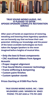 Apogee Acoustics "Full Range" aka "The Apogee" Speakers - Spectacular