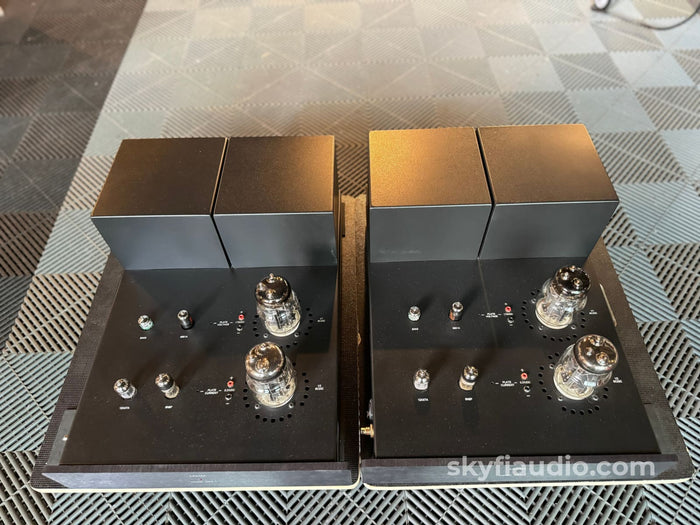 Lamm ML2.1 Monoblock Tube Amplifiers, Factory Serviced - Stereophile C