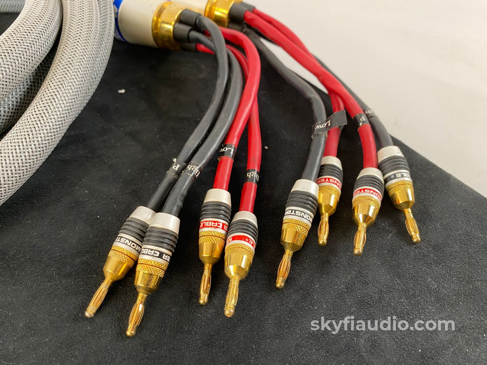 Monster Cable M Series M2.4s Bi-Wire Speaker Cable, 8 Feet, Vintage Go