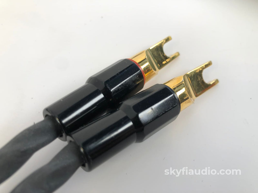 Transparent Audio MusicWave Reference Speaker Cables (Pair) - 2.5M