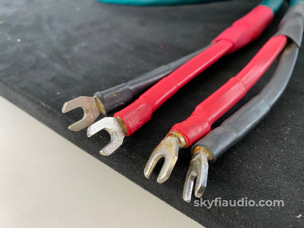 AudioQuest LiveWire Green Speaker Cables, Cardas Spades, 4 Feet – SkyFi Audio