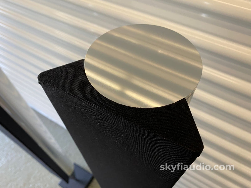 Bang & Olufsen BeoLab 8000 Active (Powered) Speakers