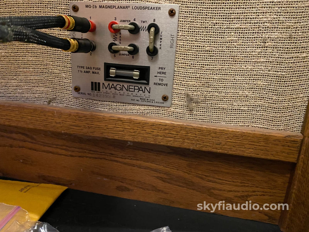 Magnepan Model MG-1B Magneplanar Speakers "Survivors"