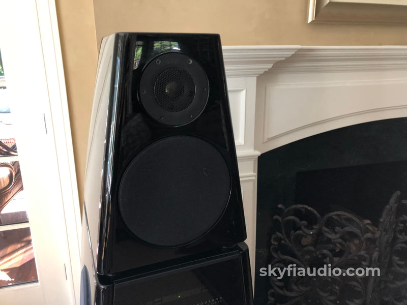 Meridian DSP8000 Flagship Powered Speakers – SkyFi Audio