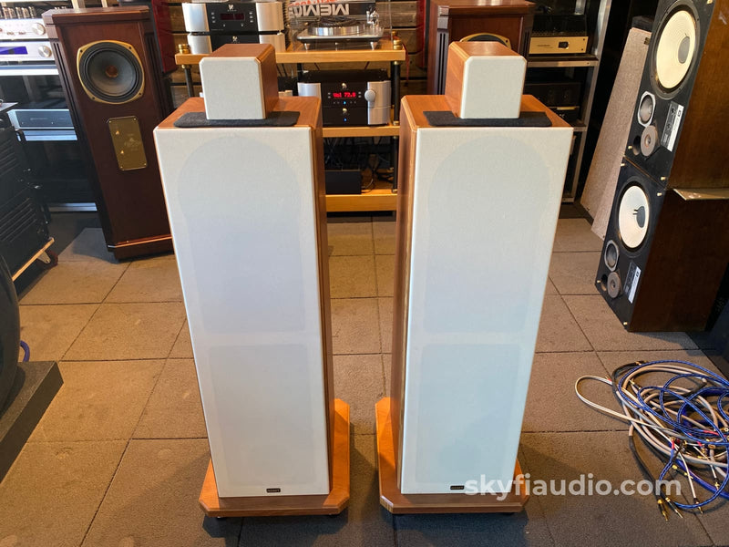 NSMT Model 100 Speakers - Highly Reviewed – SkyFi Audio