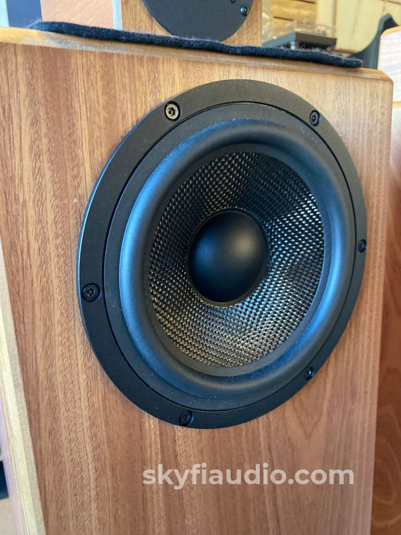 NSMT Model 100 Speakers - Highly Reviewed – SkyFi Audio