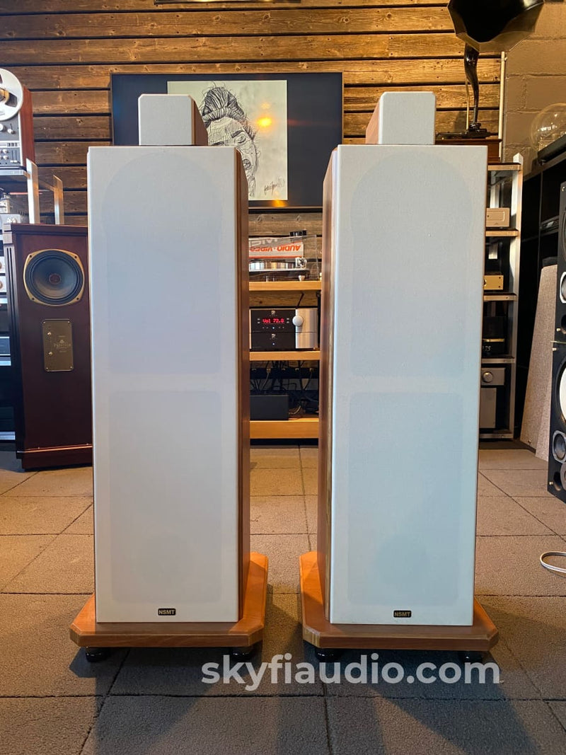 NSMT Model 100 Speakers - Highly Reviewed – SkyFi Audio
