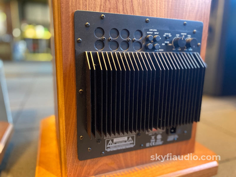 NSMT Model 100 Speakers - Highly Reviewed – SkyFi Audio