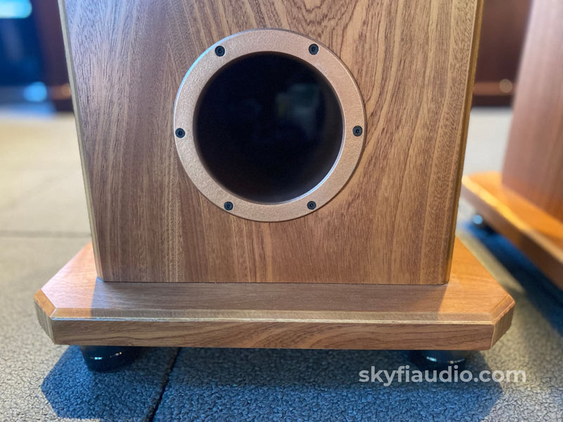 NSMT Model 100 Speakers - Highly Reviewed – SkyFi Audio