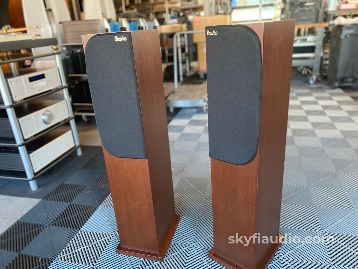 ProAc Response D15 Floorstanding Speakers