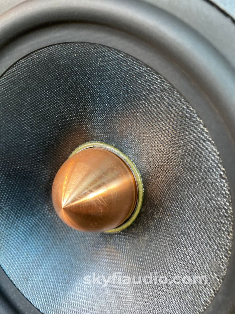 ProAc Response D15 Floorstanding Speakers – SkyFi Audio