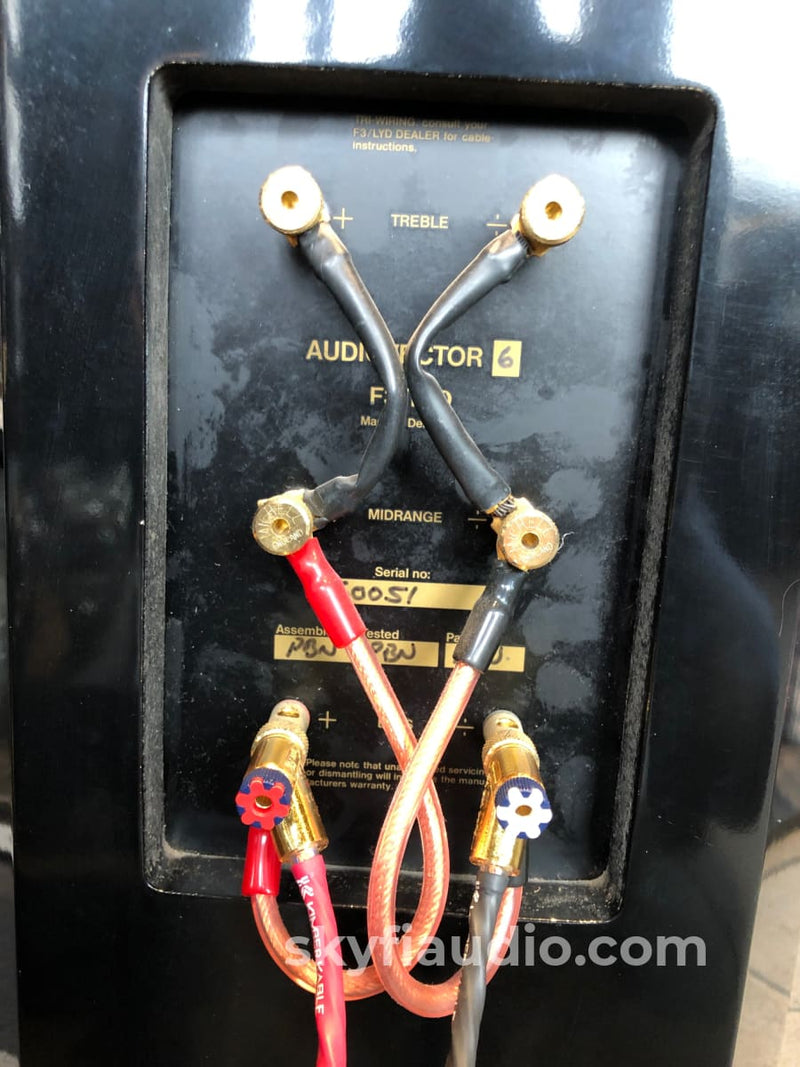 Rare AudioVector F3/LYD Tower Speakers with Focal Drivers – SkyFi Audio