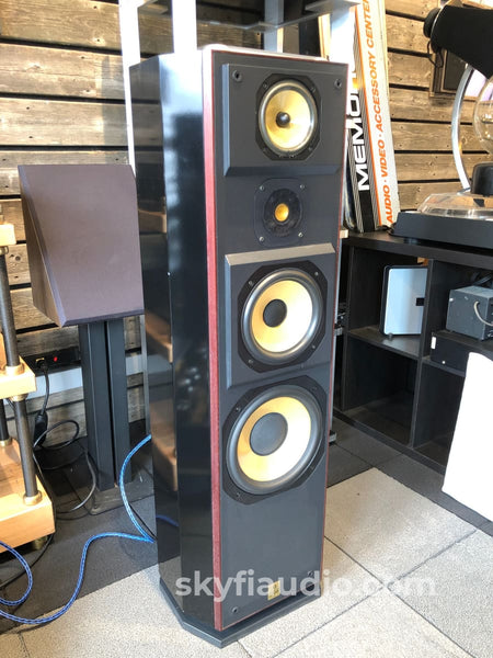 Rare AudioVector F3/LYD Tower Speakers with Focal Drivers – SkyFi Audio