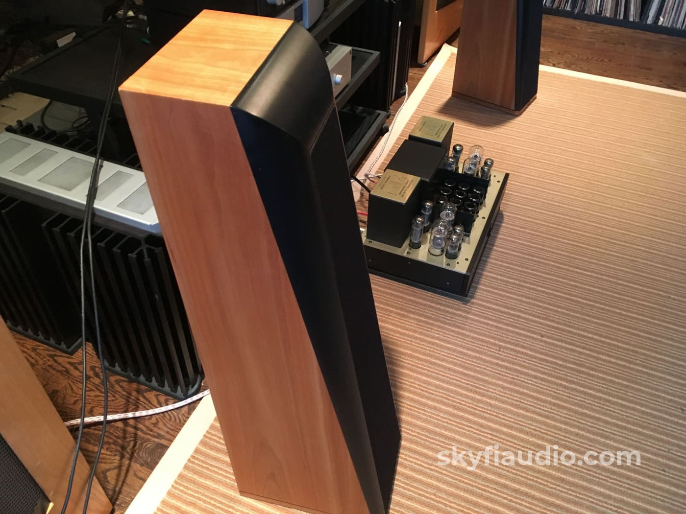Thiel Audio CS-1.6 Time Aligned Speakers