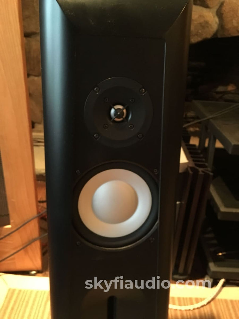 Thiel Audio CS-1.6 Time Aligned Speakers – SkyFi Audio