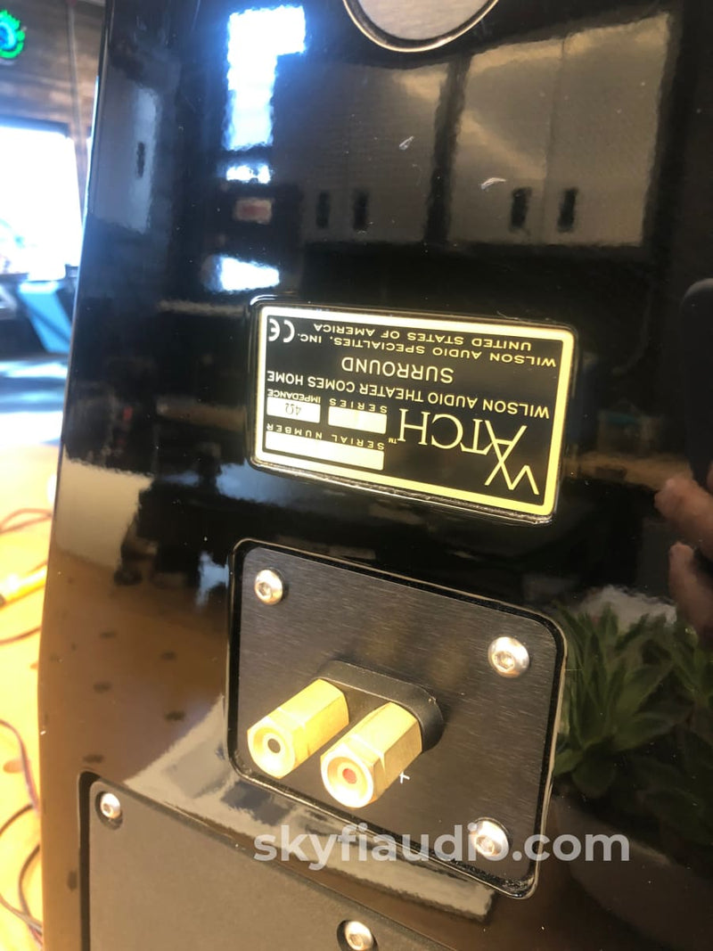 Wilson Audio Watch Surround Speaker Pair - Series 1 - Gloss Black - Ra